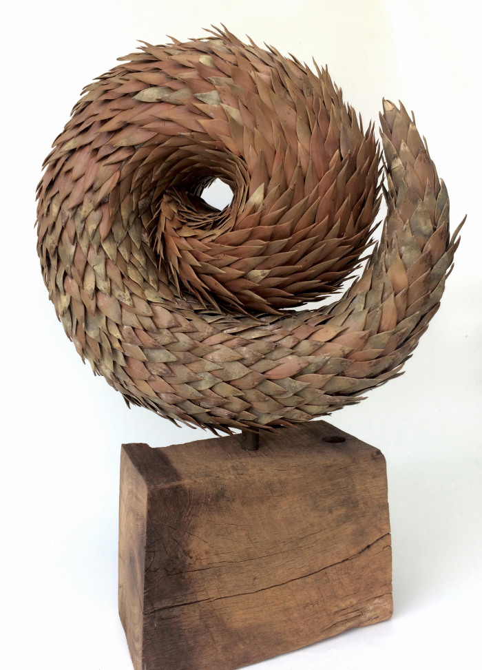 CONFINEMENT 2020 - Christophe Dumont - Sculpteur animaux réels ou fantasmés